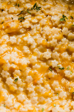 Butternut Squash Stelline Pasta (Gluten Free) - Unbound Wellness